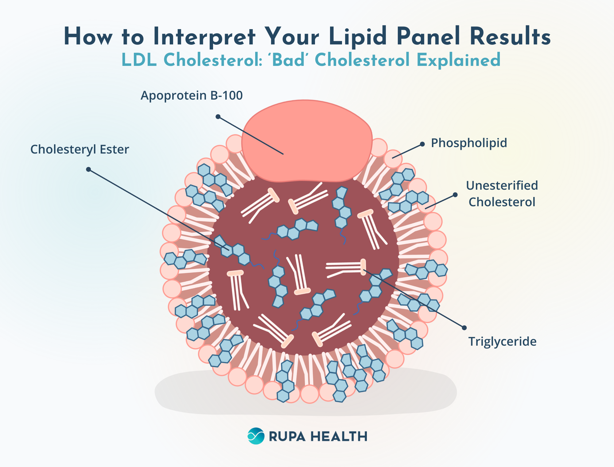 How To Interpret Your Lipid Panel Results How To Interpret Your Lipid Panel Results